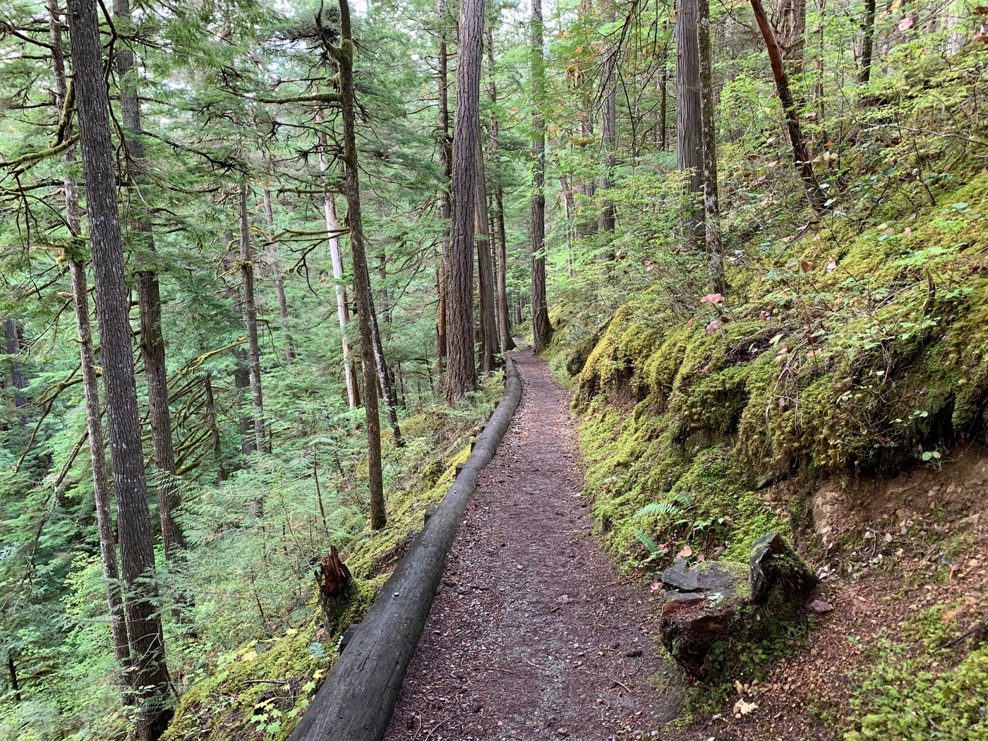 Hiker Headlines Spring Snow Wheelchair friendly Trails Free Entry hiker-headlines-spring-snow-wheelchair-friendly-trails-free-entry